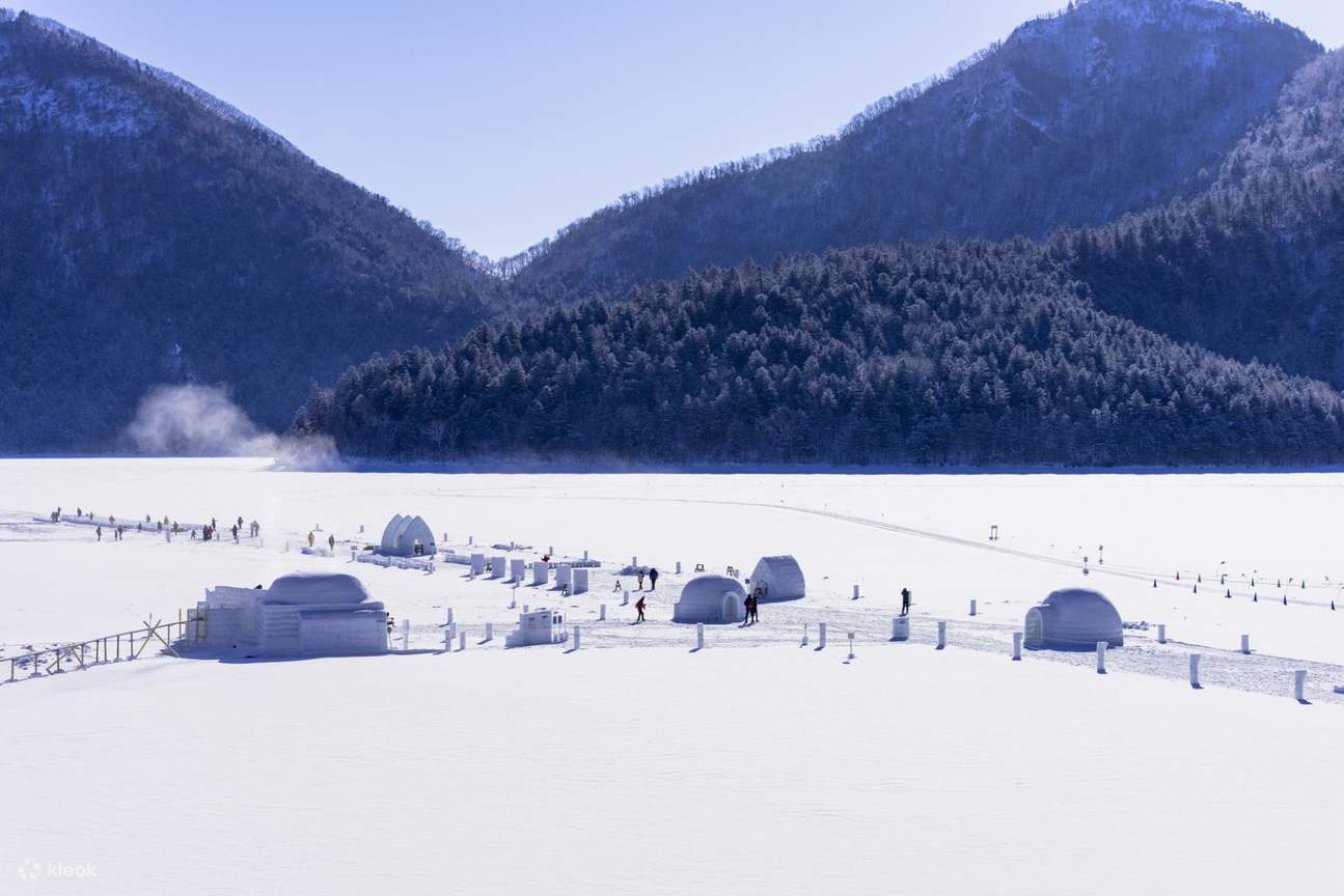 Shared Sightseeing Bus Transfers from Tokachigawa Onsen to Otaru/New ...